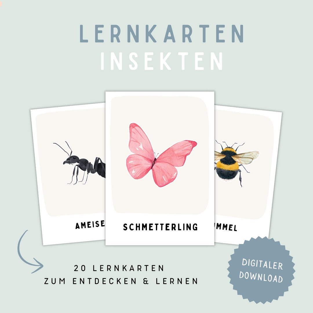 Insect Flashcards for Children - Montessori - 20 X A6 Cards - Insects ...
