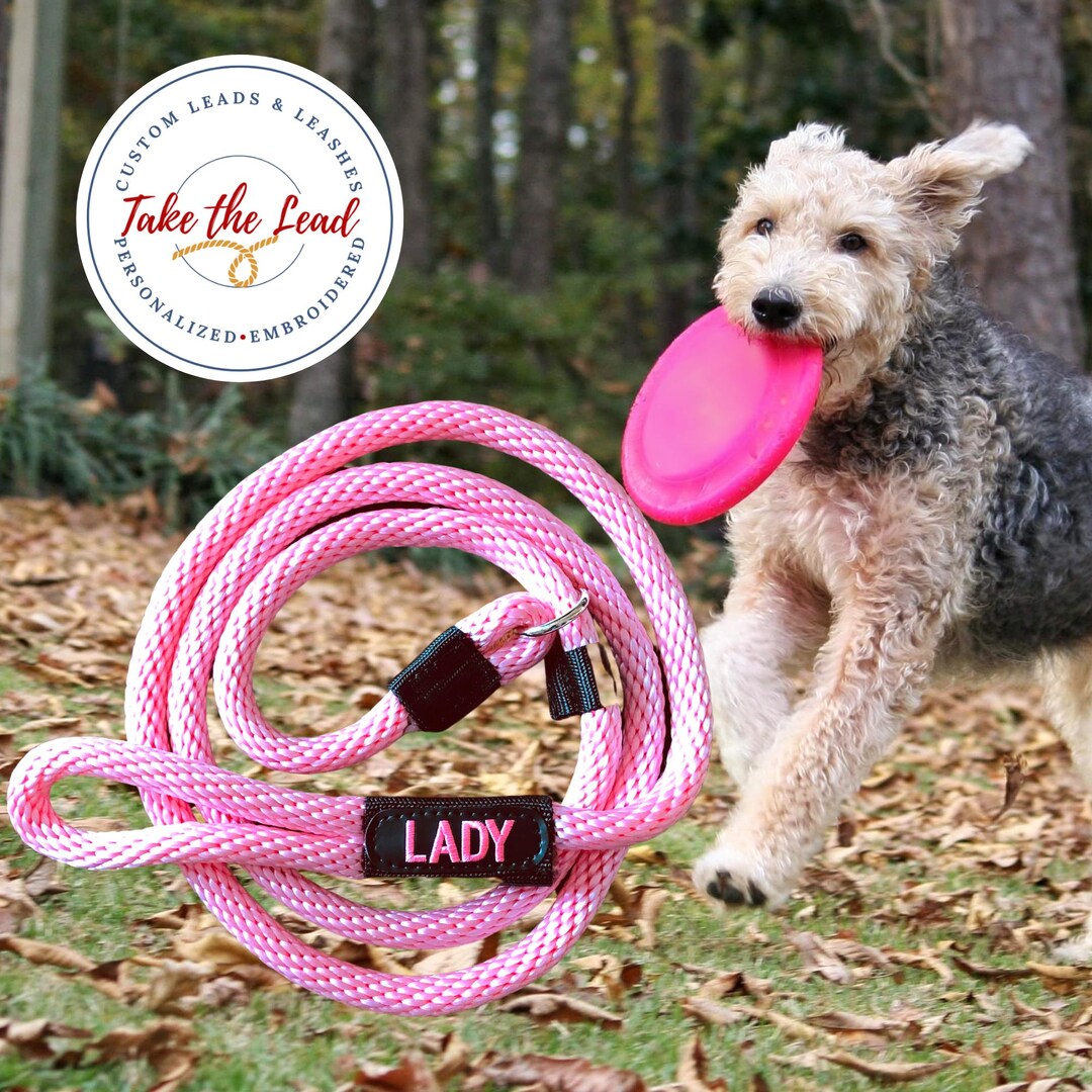 Personalized Embroidered Dog Leash or Slip Lead -- 30 Rope Color ...