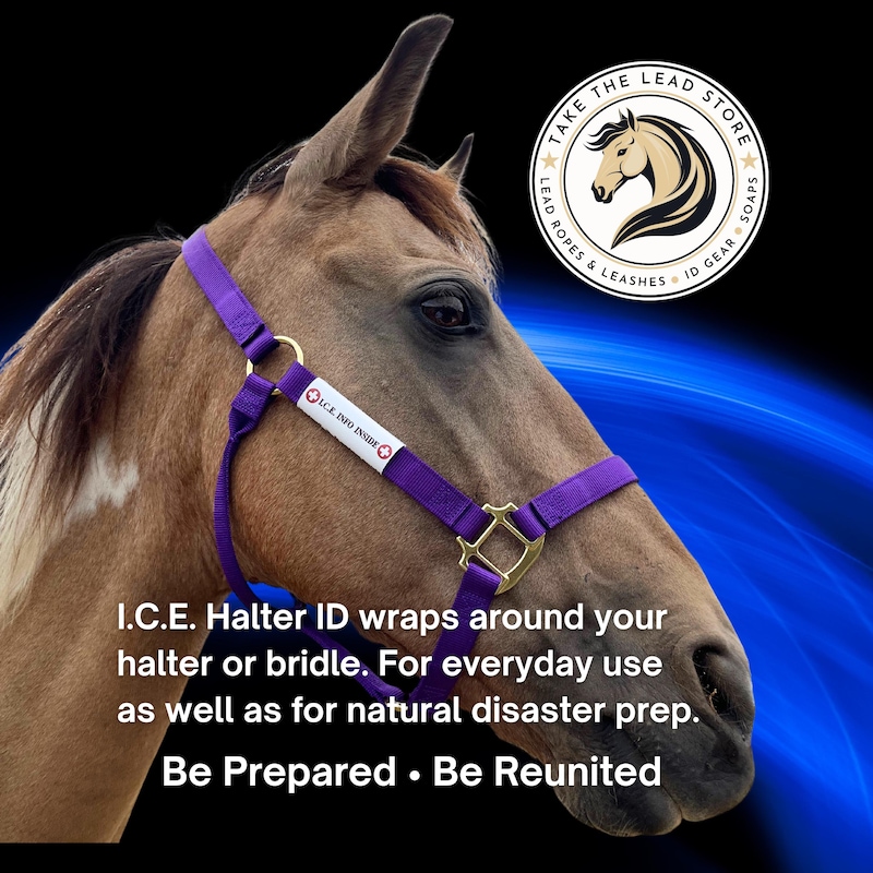 Emergency Id for a Horse - Etsy