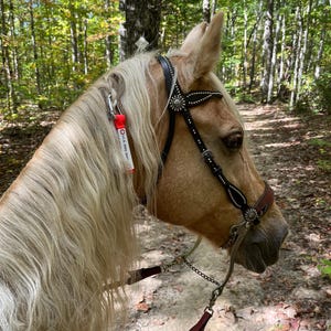 I.C.E. Ultralite Horse ID Tag: Emergency Contact Information - Etsy