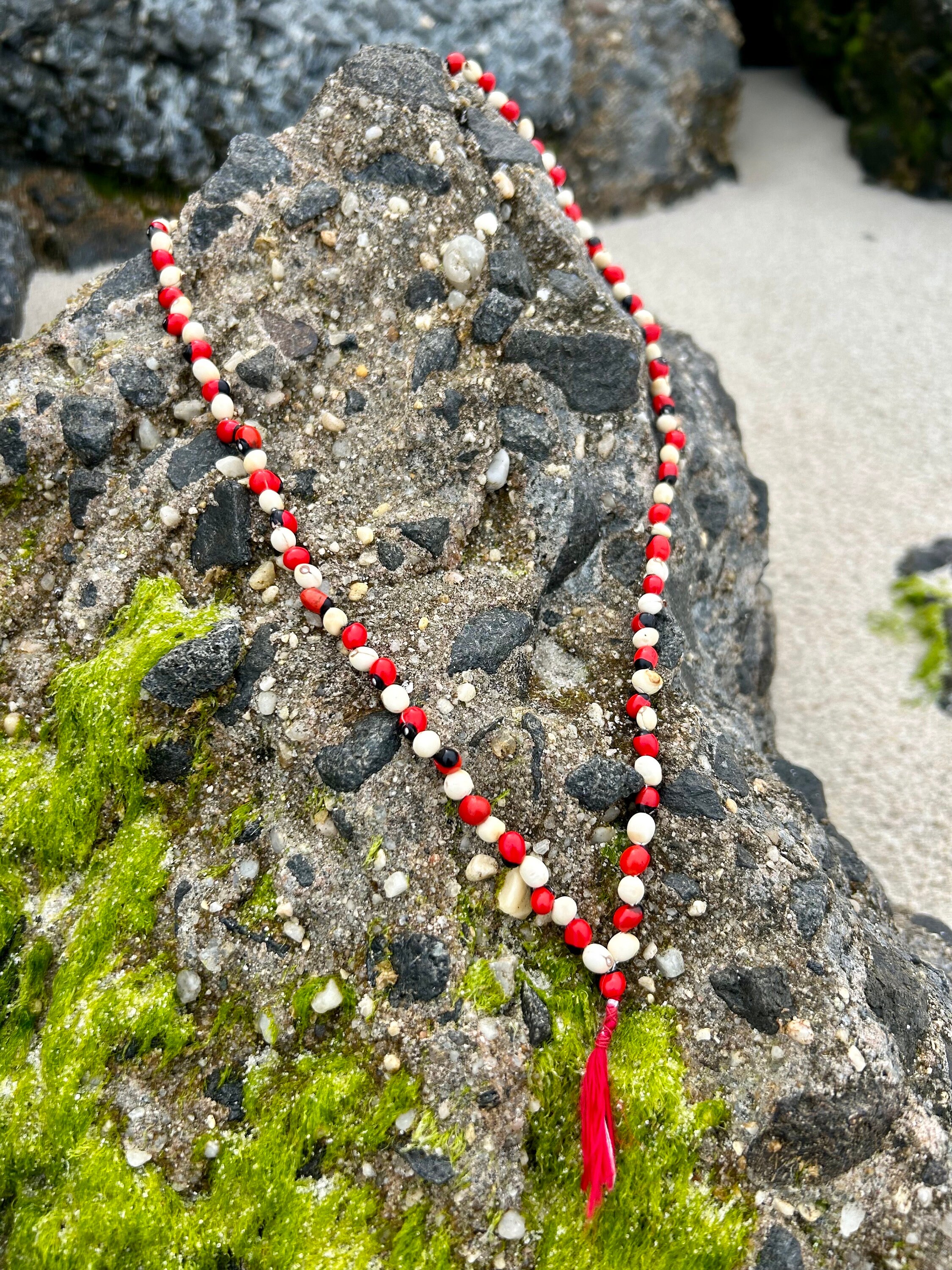 NEW Gunja Mala chirmi Seed - Etsy