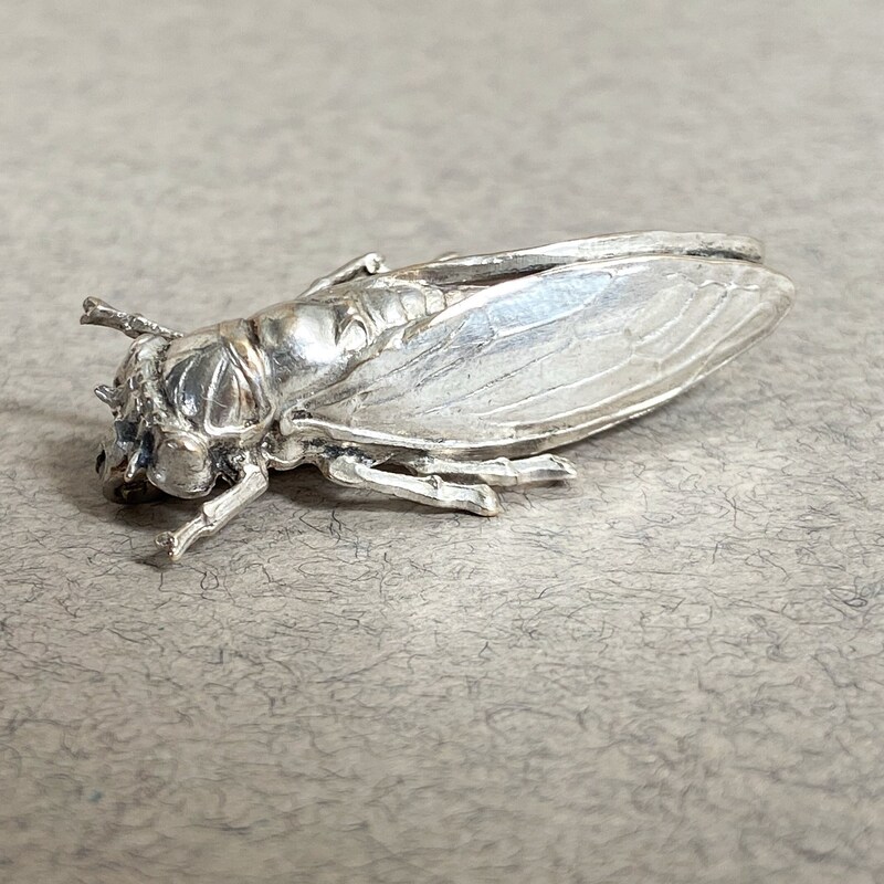 Cicada Brooch - Etsy