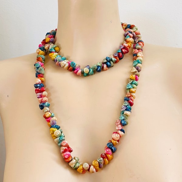 Trochus Shell - Etsy