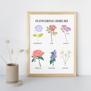 Flowering Shrubs Identification Chart, Flower Guide Poster, Colourful ...