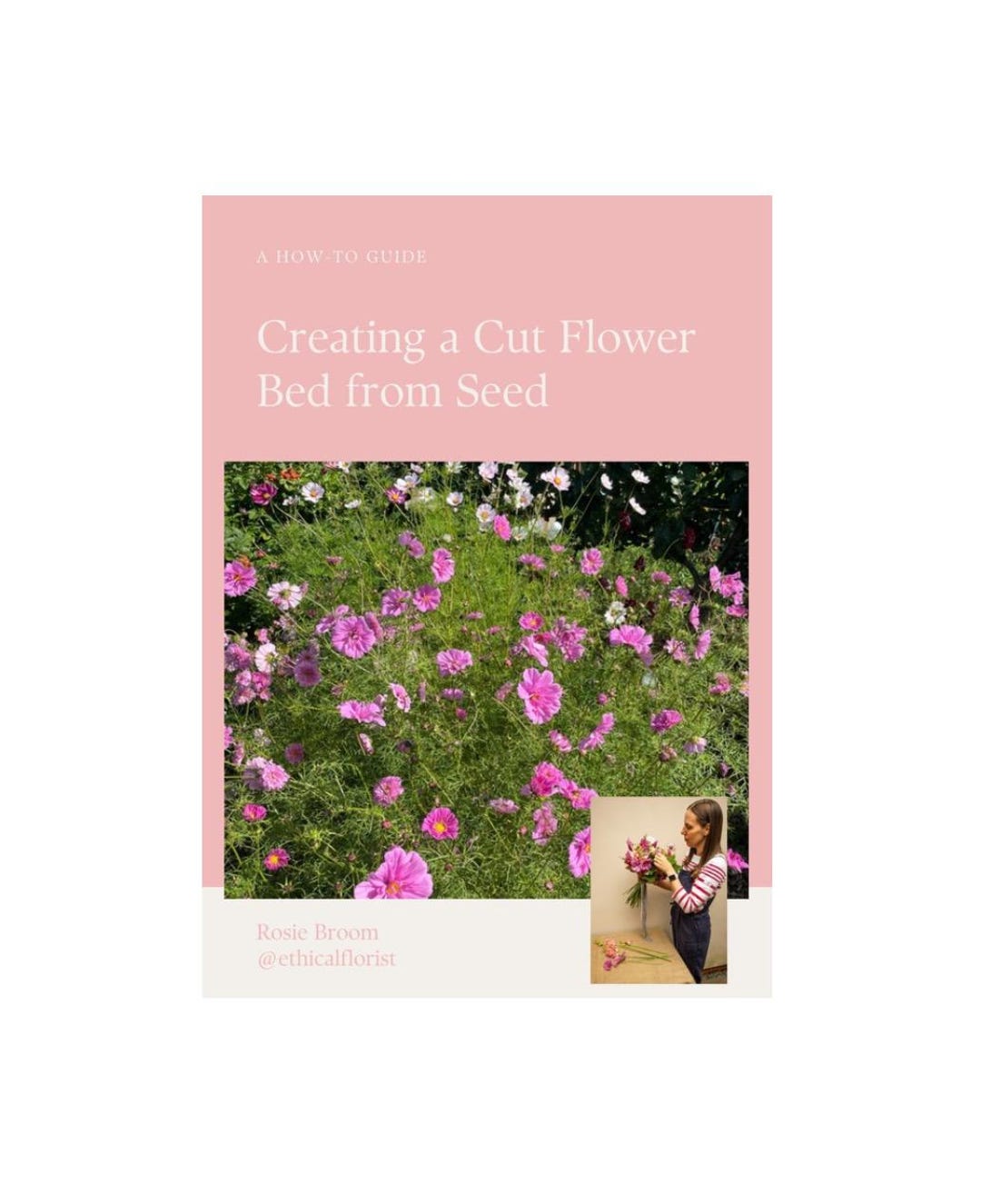How to Create a Cut Flower Bed, Gardening Book, Garden Guide, Flower ...