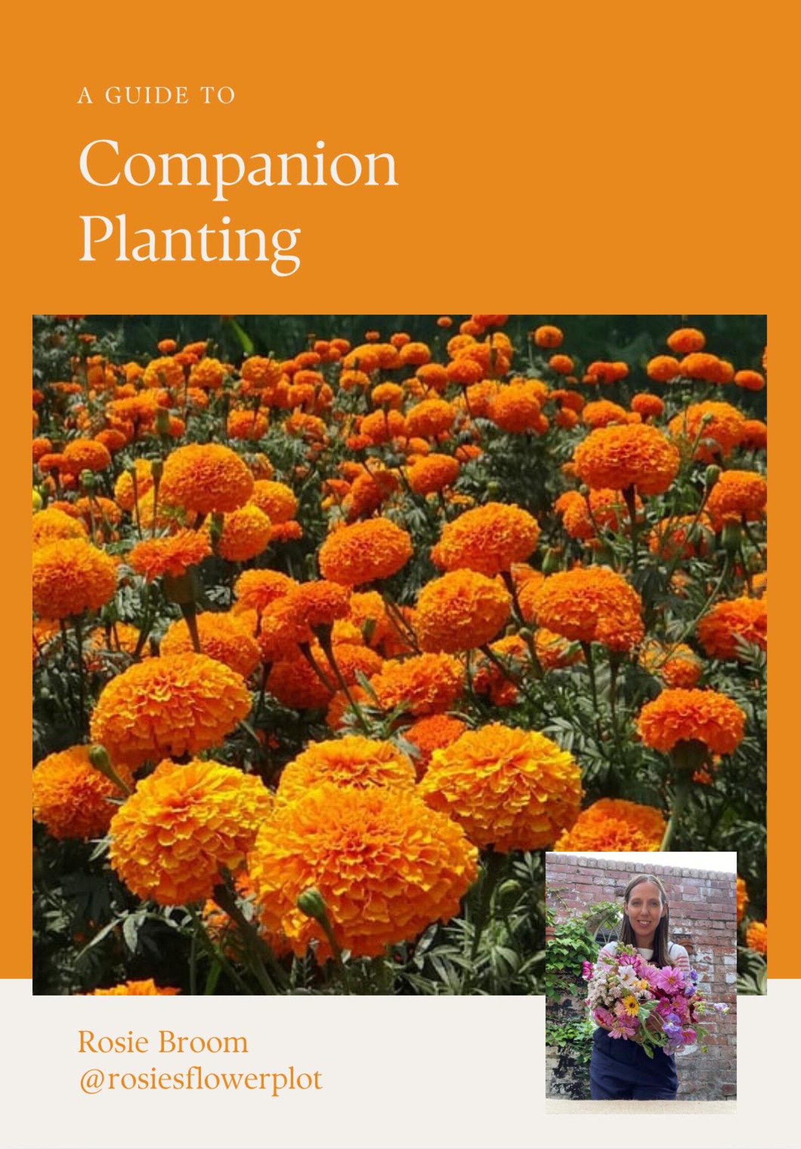 A Guide to Companion Planting, Gardening Book, Flower Book, Garden Book ...