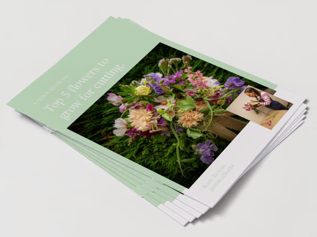 A Quick Guide to the Best Cut Flowers, Flower Guide, Gardening Book ...