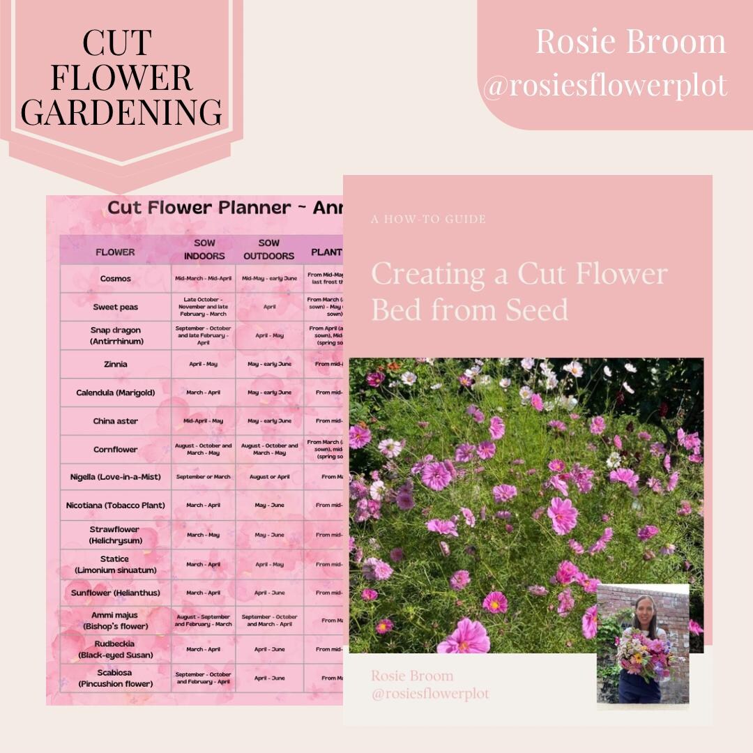 Creating a Cut Flower Patch, Garden Guide, Garden Planner, Flower Guide ...