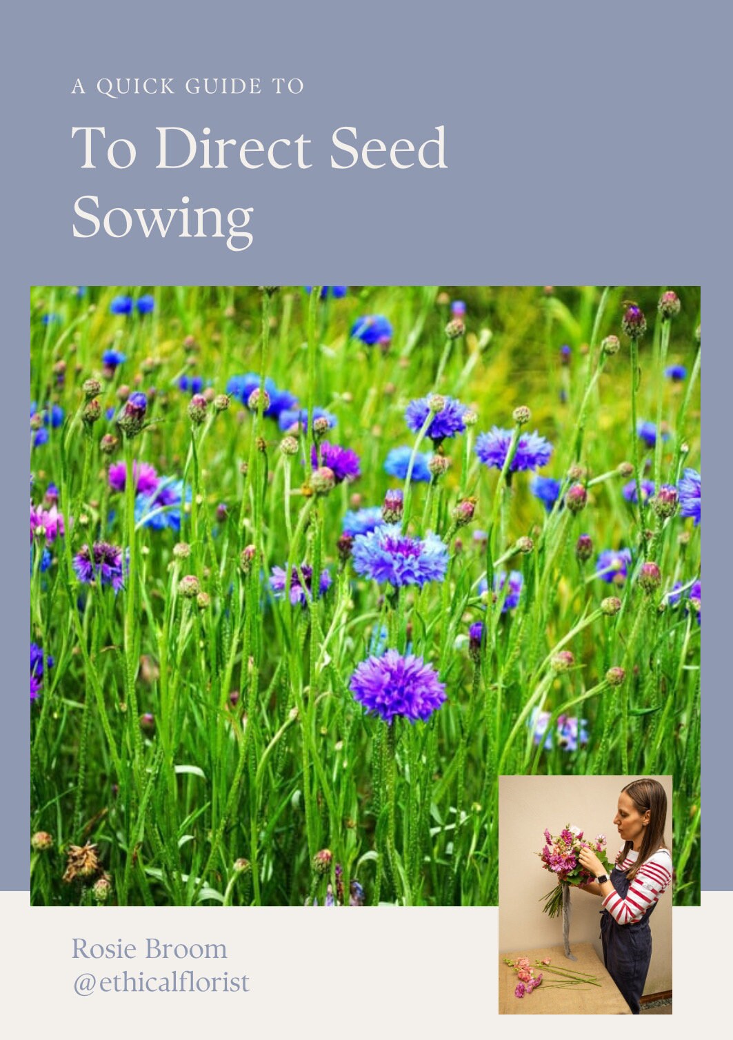 A Quick Guide to Direct Sowing Seeds, Printable Ebook, Gardening ...