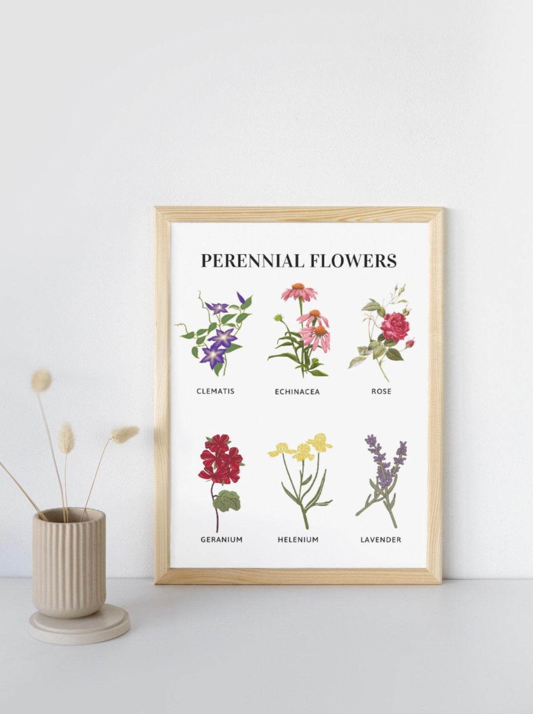 Perennial Flower Identification Chart, Flower Guide Poster, Colourful ...