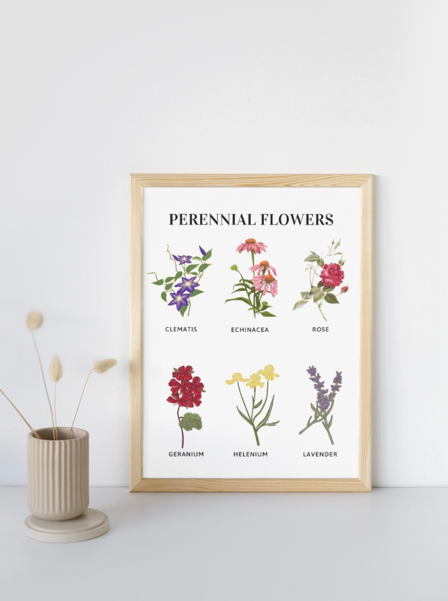 Perennial Flower Identification Chart, Flower Guide Poster, Colourful ...