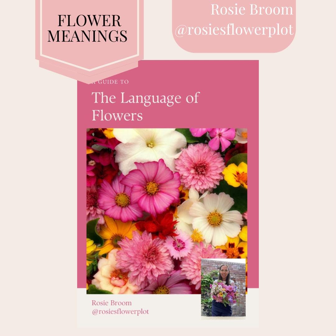 A Guide to the Language of Flowers, Flower Guide, Floriography, Flower ...