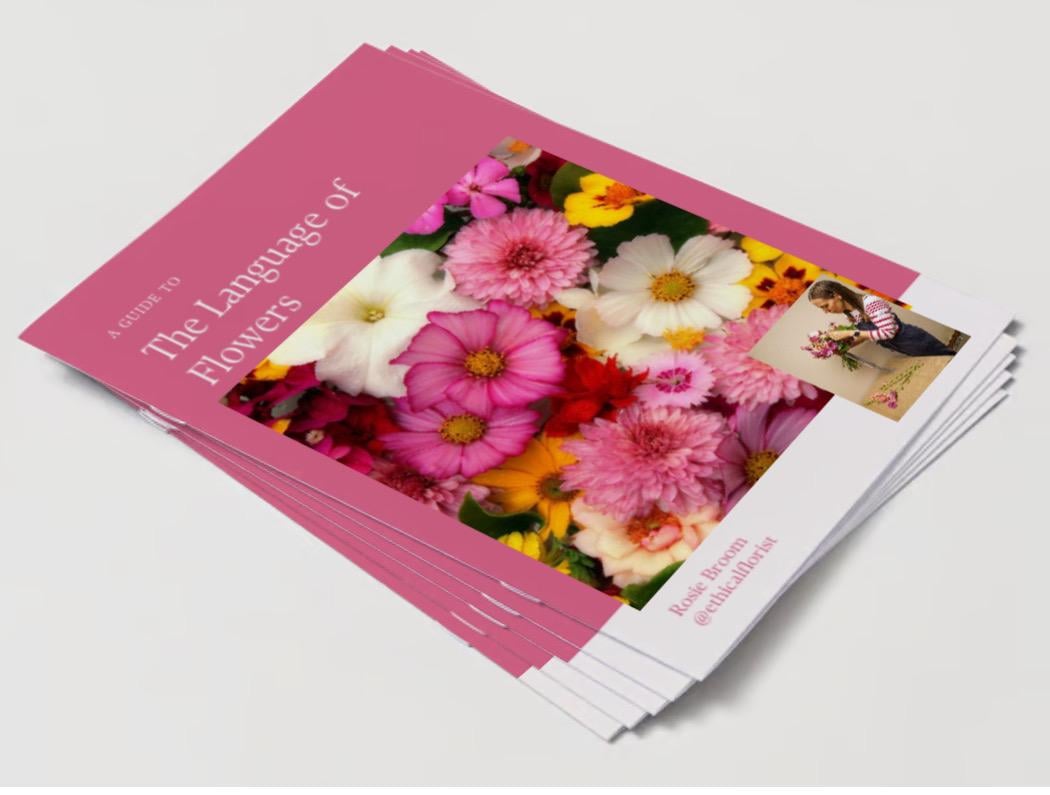 A Guide to the Language of Flowers, Flower Guide, Floriography, Flower ...