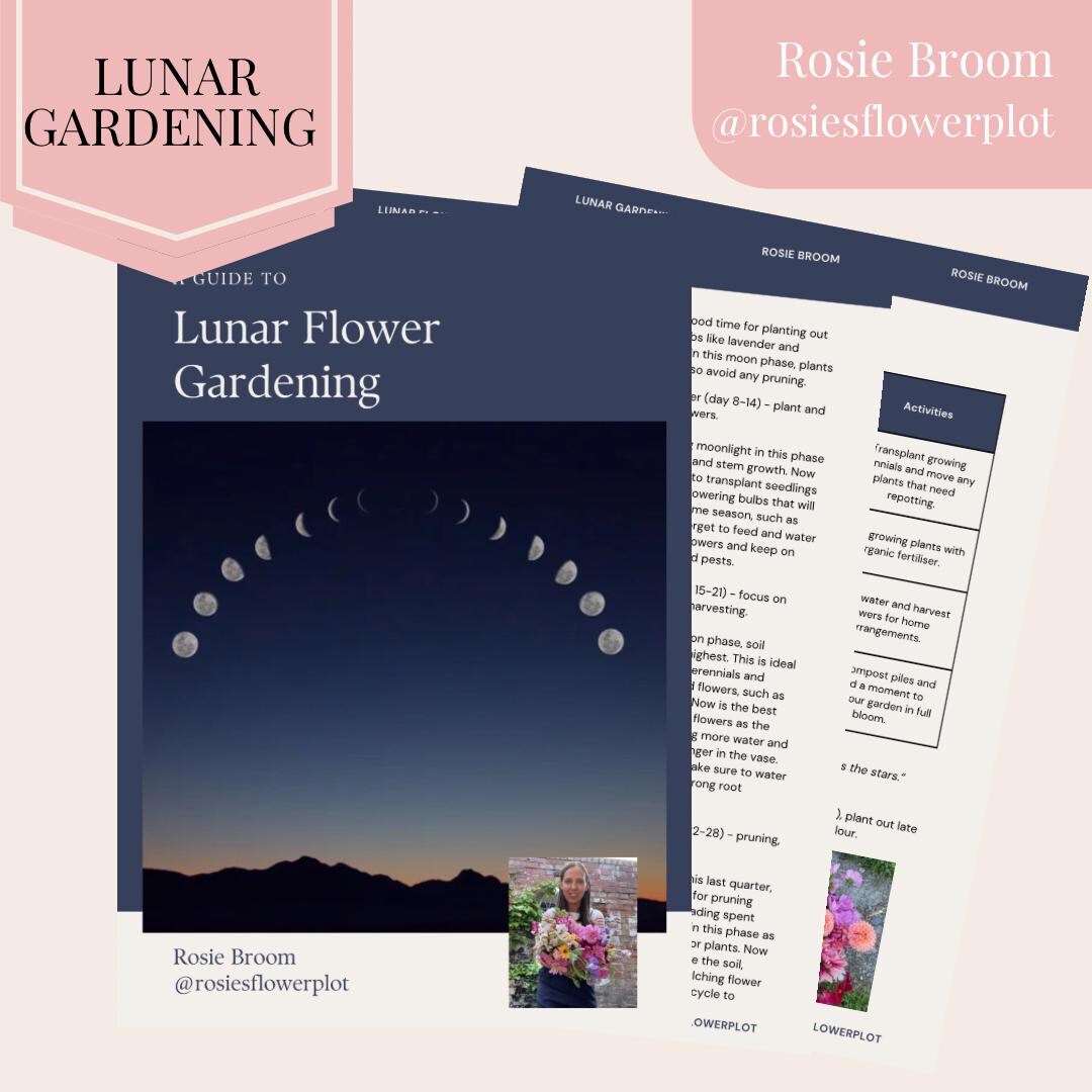 Lunar Flower Gardening Guide | 2025 & 2026 Moon Calendar | Moon Phase ...