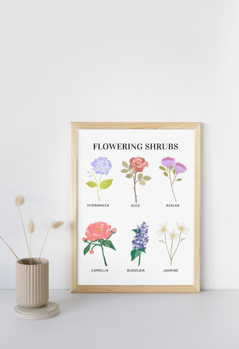 Flowering Shrubs Identification Chart, Flower Guide Poster, Colourful ...