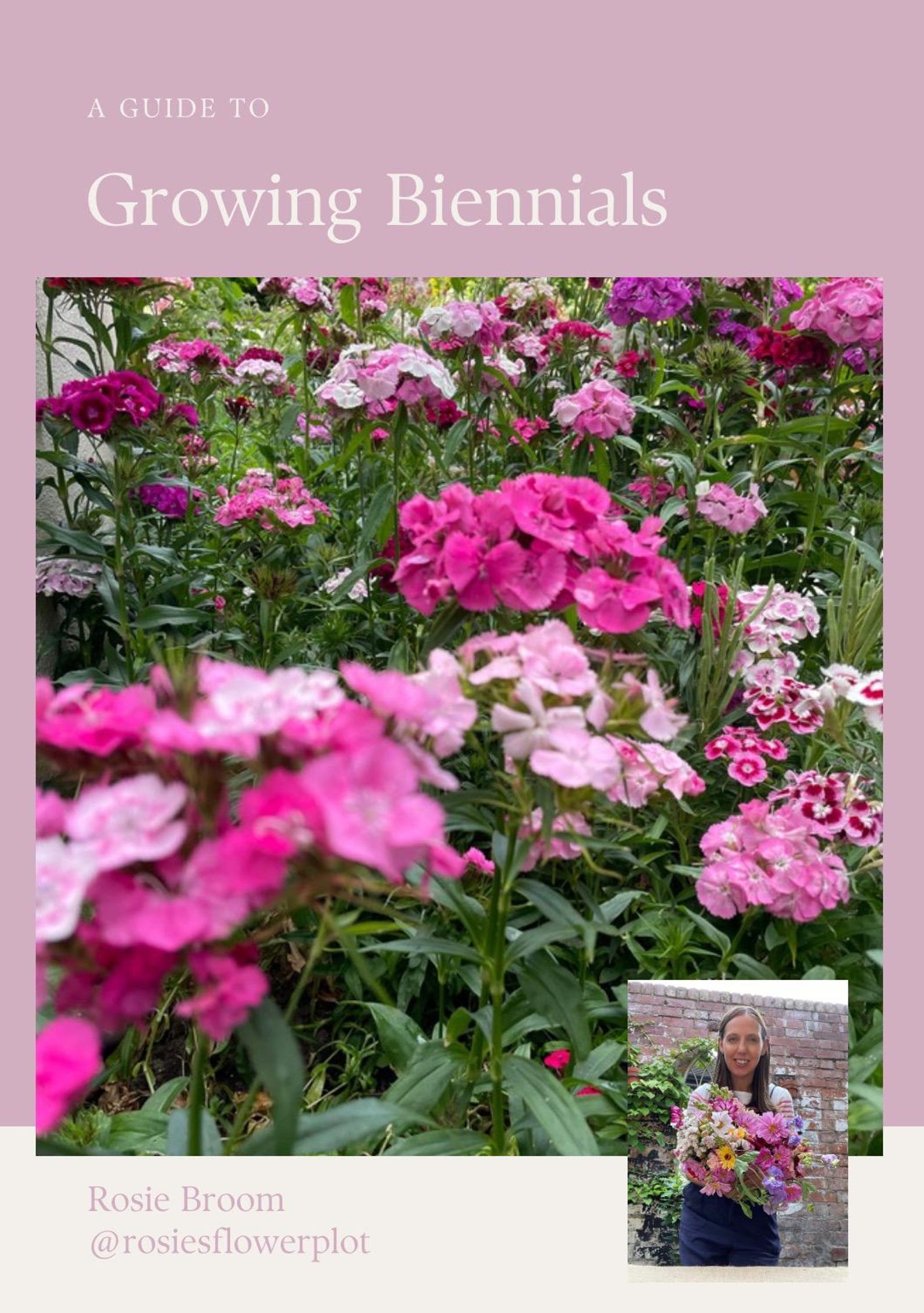 A Guide to Growing Biennials, Gardening Book, Flower Book, Gardening ...