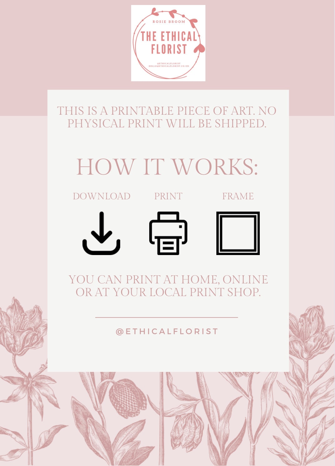 Perennial Flower Identification Chart, Flower Guide, Instant Digital ...