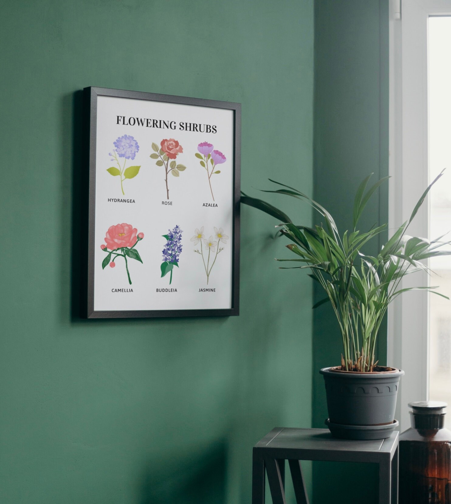 Flowering Shrubs Identification Chart, Flower Guide Poster, Colourful ...