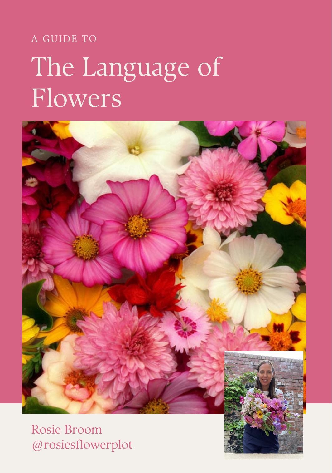 A Guide to the Language of Flowers, Flower Guide, Floriography, Flower ...