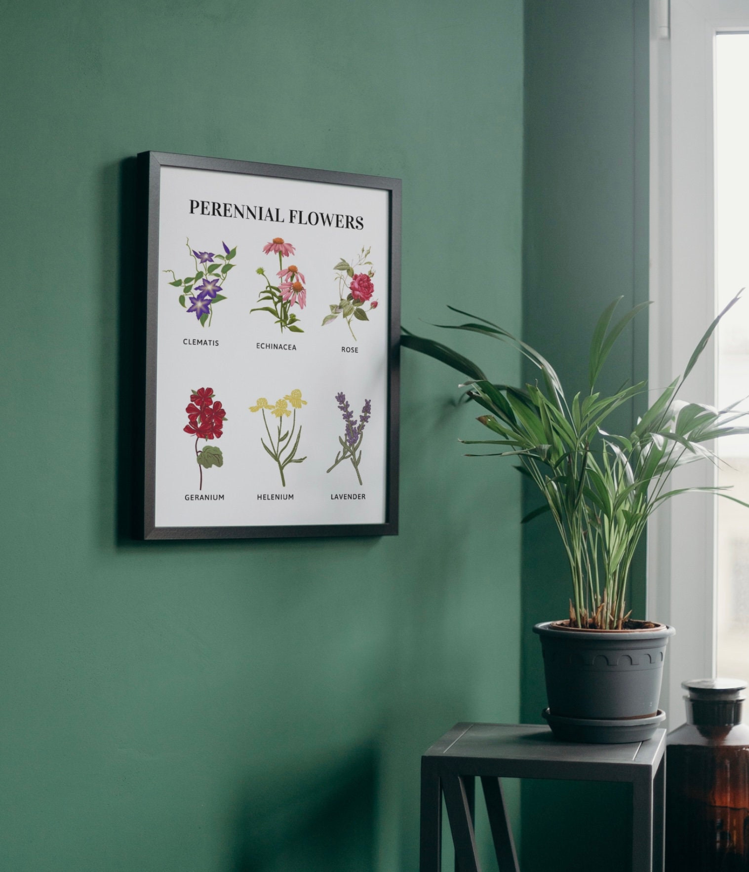 Perennial Flower Identification Chart, Flower Guide, Instant Digital ...