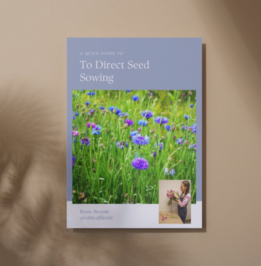 A Quick Guide to Direct Sowing Seeds, Printable Ebook, Gardening ...