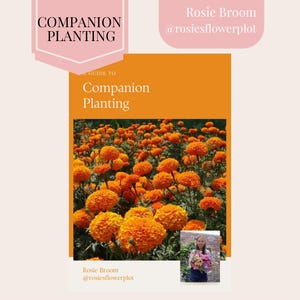 A Guide to Companion Planting, Gardening Book, Flower Book, Garden Book ...