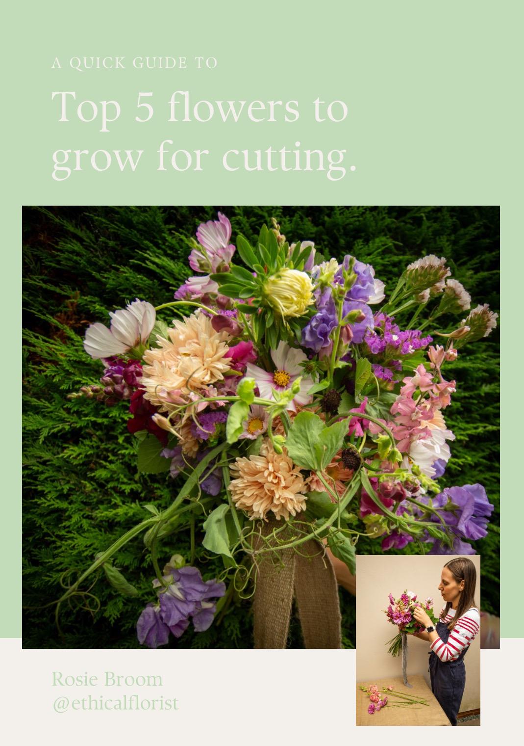 A Quick Guide to the Best Cut Flowers, Flower Guide, Gardening Book ...