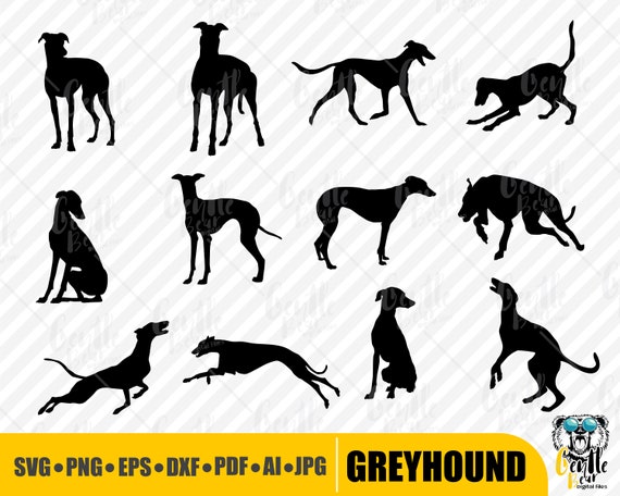 Greyhound Outline