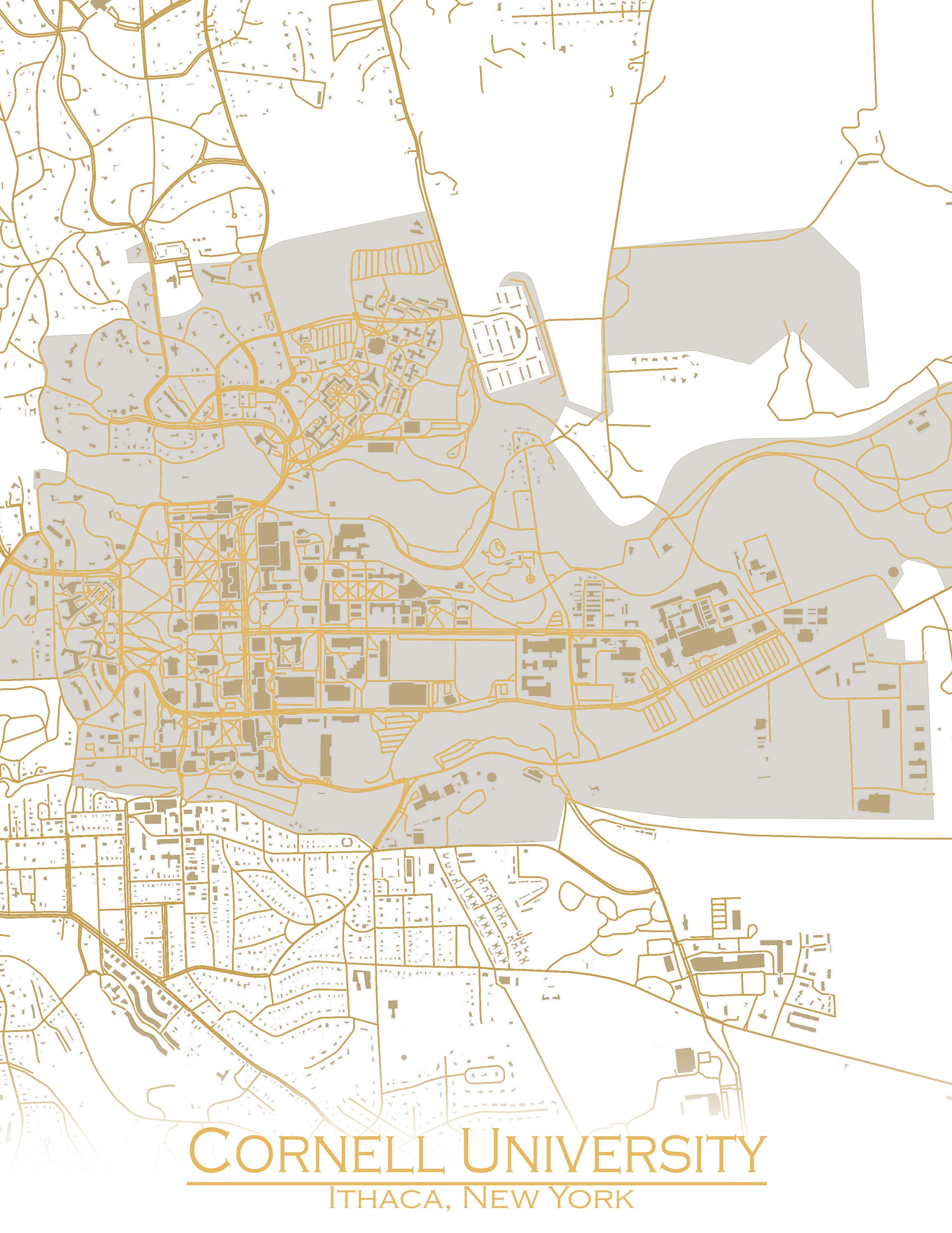 Colored Map of Cornell University and All Its Roads - Etsy
