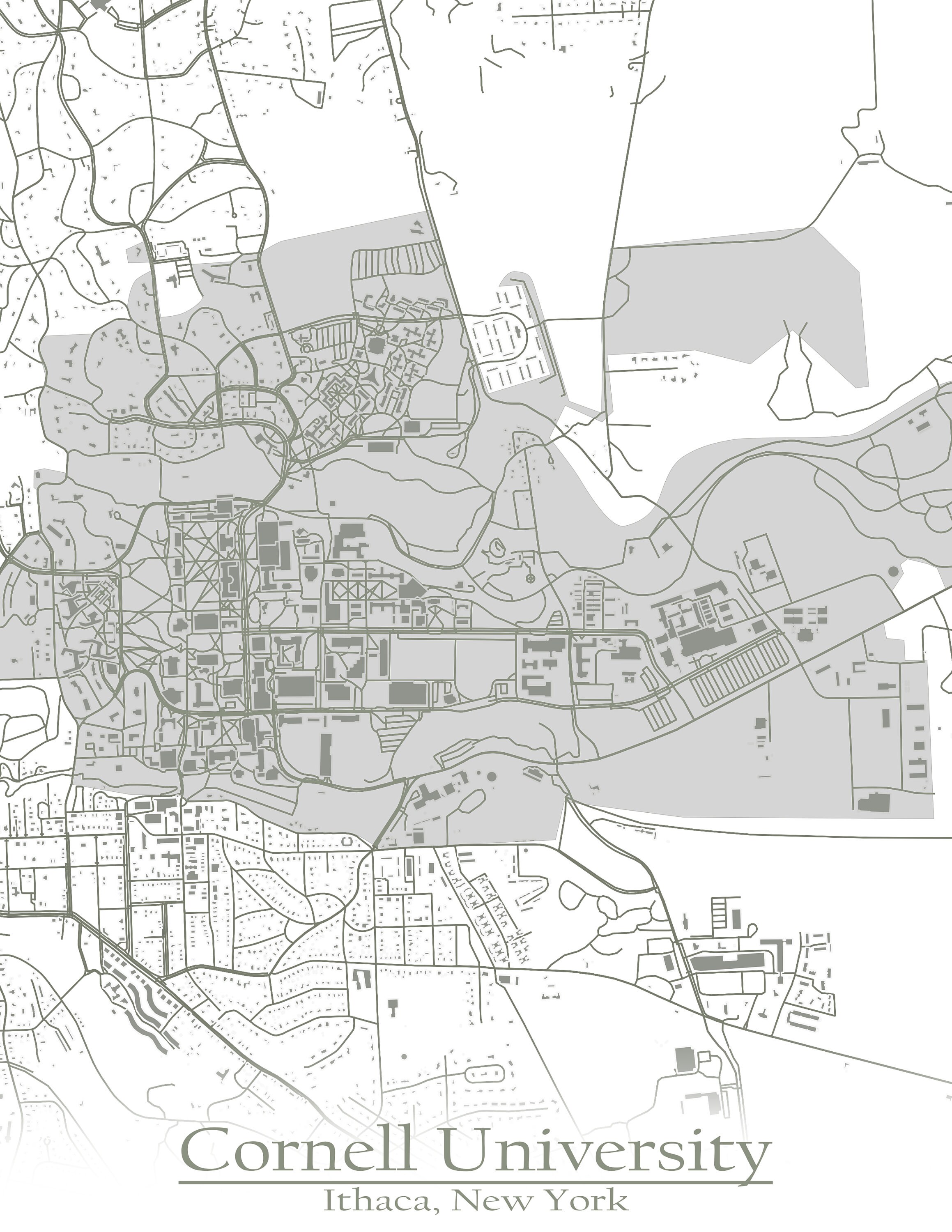 Colored Map of Cornell University and All Its Roads - Etsy