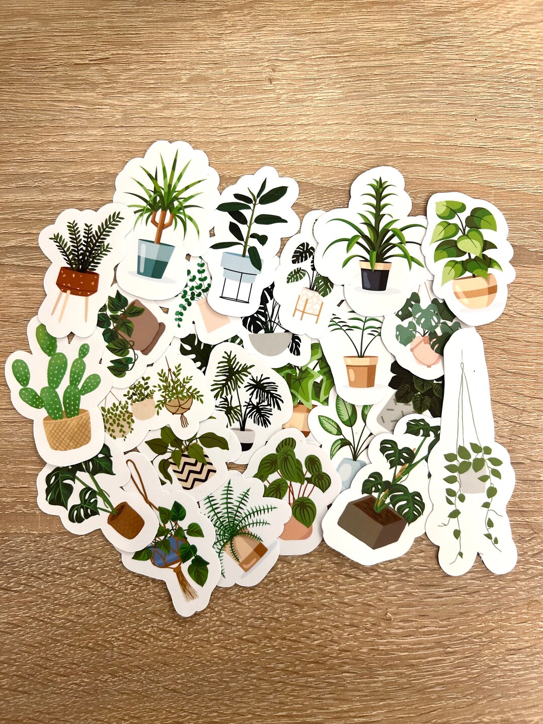 Sticker Pack- Plant Lover Pack - Etsy