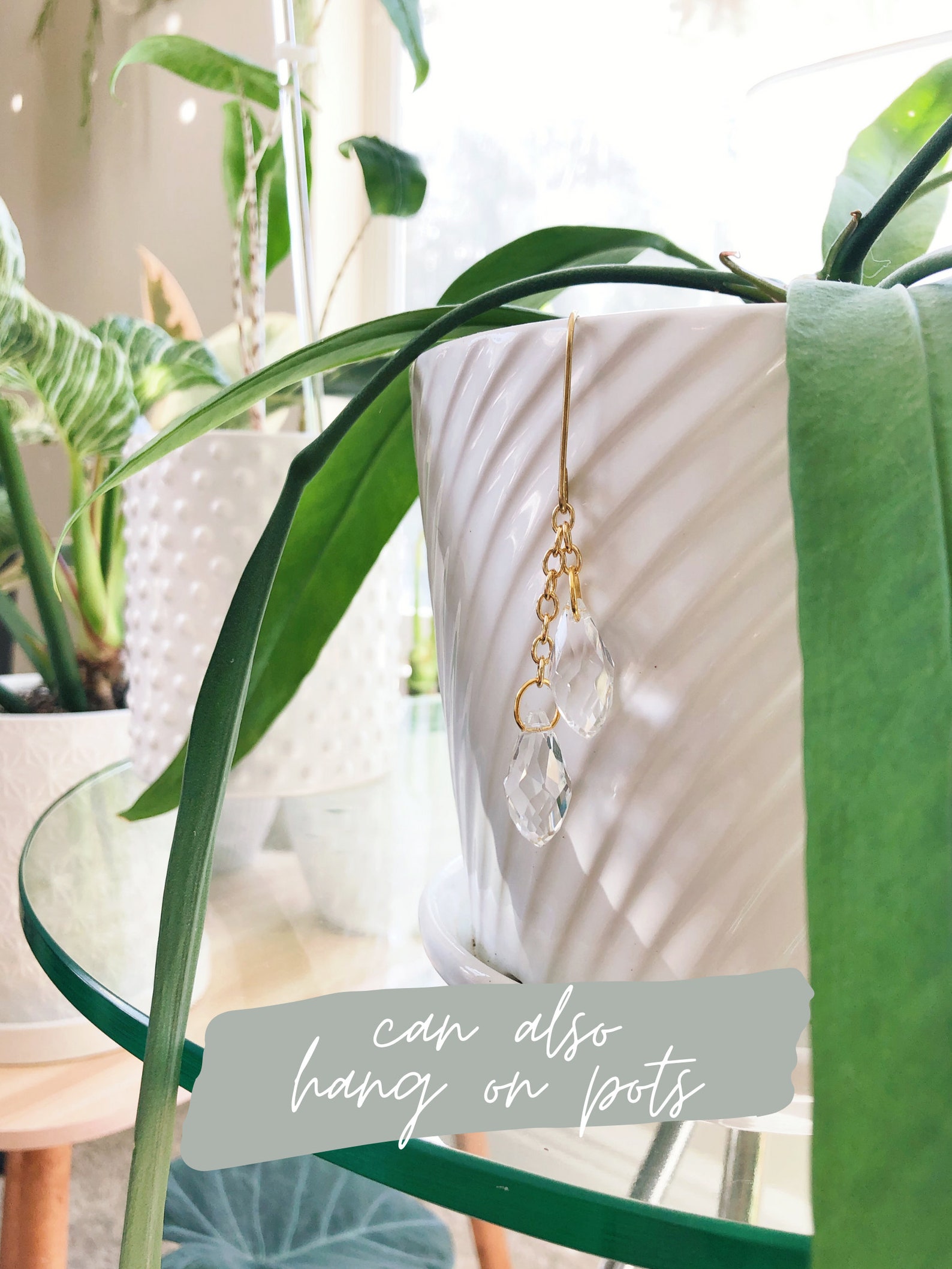 Crystal Suncatcher Plant Charm Houseplant Hanger Hanging - Etsy