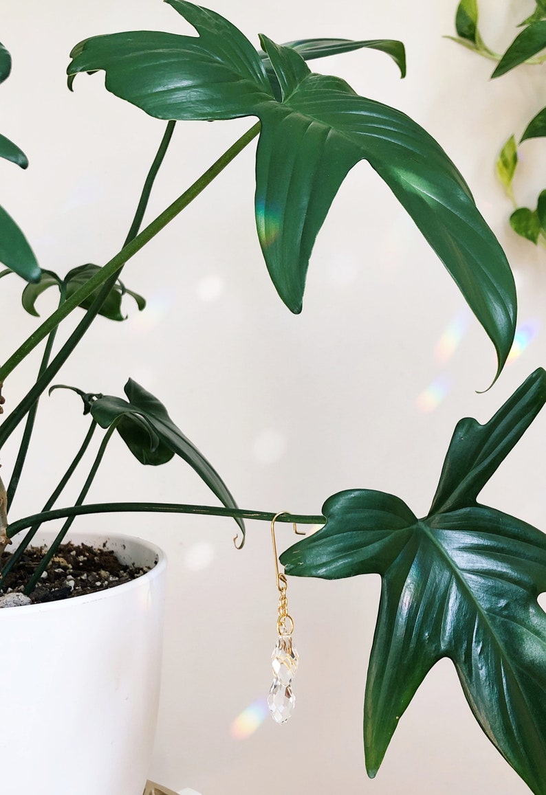 Crystal Suncatcher Plant Charm Houseplant Hanger Hanging - Etsy