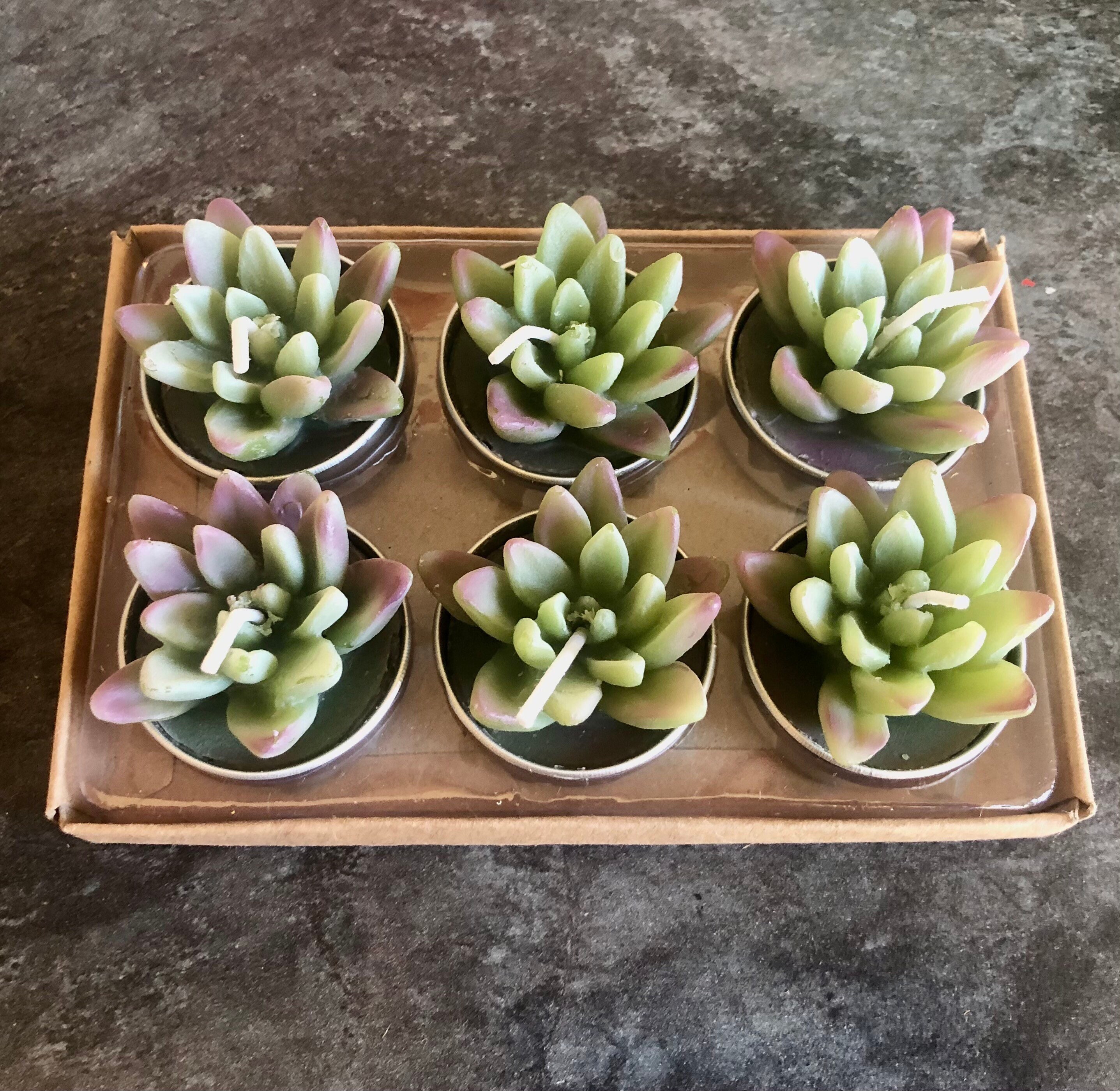 Small candles Unscented Candles Decorative Cactus Candles | Etsy