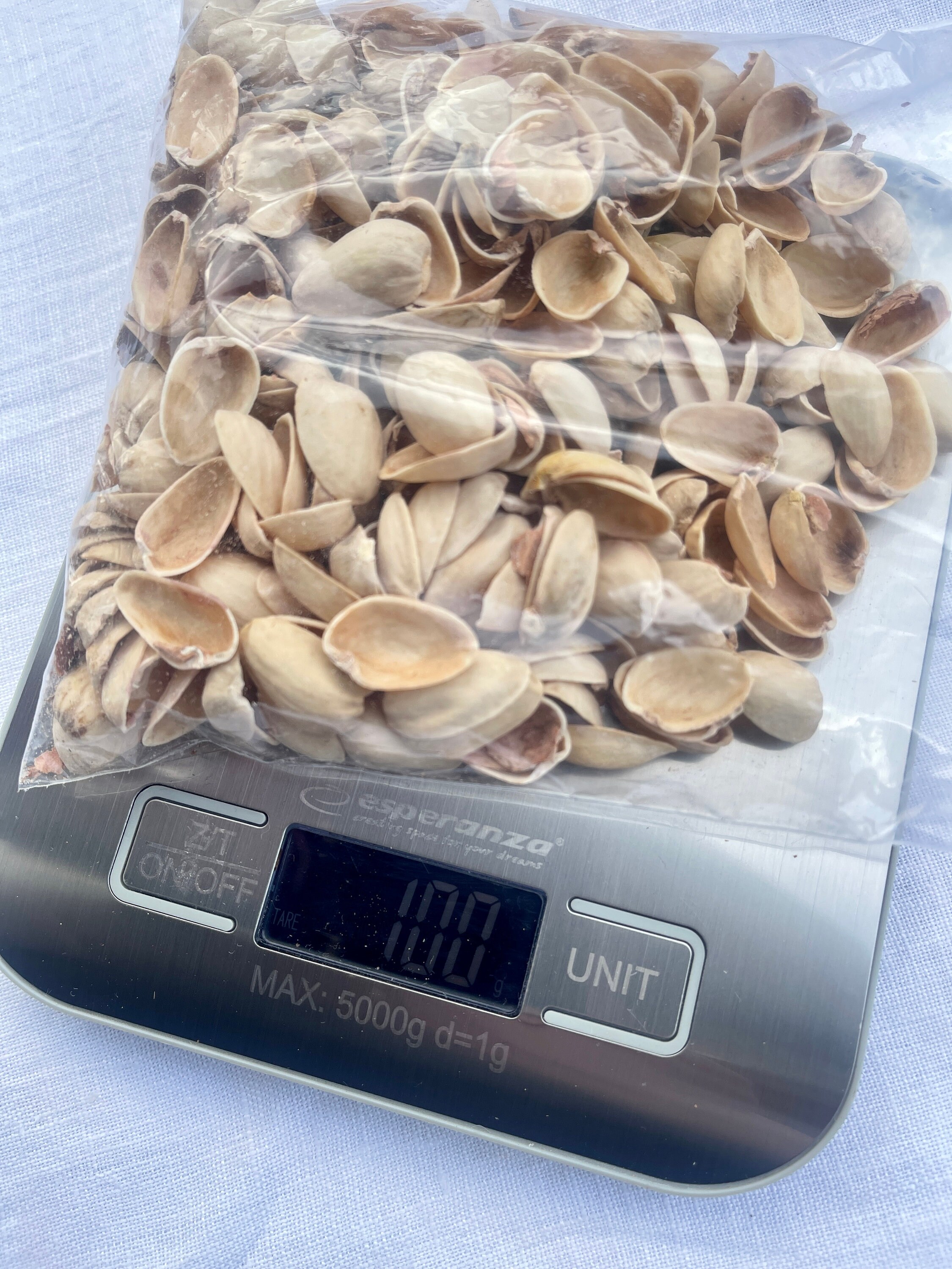 Empty Pistachio Shells, Nut Peels, DIY Crafting Art Supplies, Natural ...