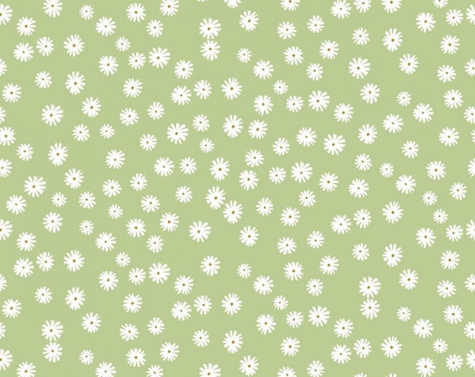 CLEARANCE End of Bolt Sale Flower Garden Green Daisies Floral Riley Blake Designs C11903-GREEN ...