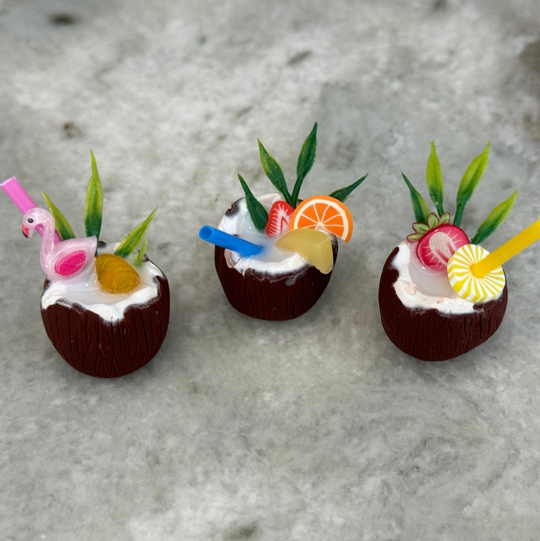 1:6 Coconut Drink, 1 Tropical Coconut Drinks for Dolls, Elf Prop ...