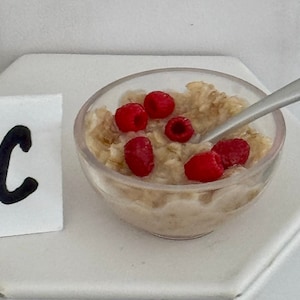 1:6 Scale Oatmeal for Dolls, Playscale Oatmeal, Elf Prop, Oatmeal Bowls ...