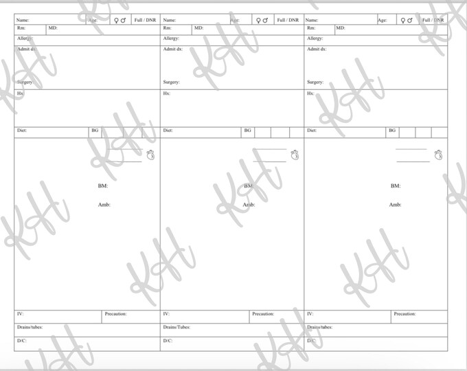 Ortho Nurse Report Sheet • SBAR Handoff Template (PDF) - Etsy Canada