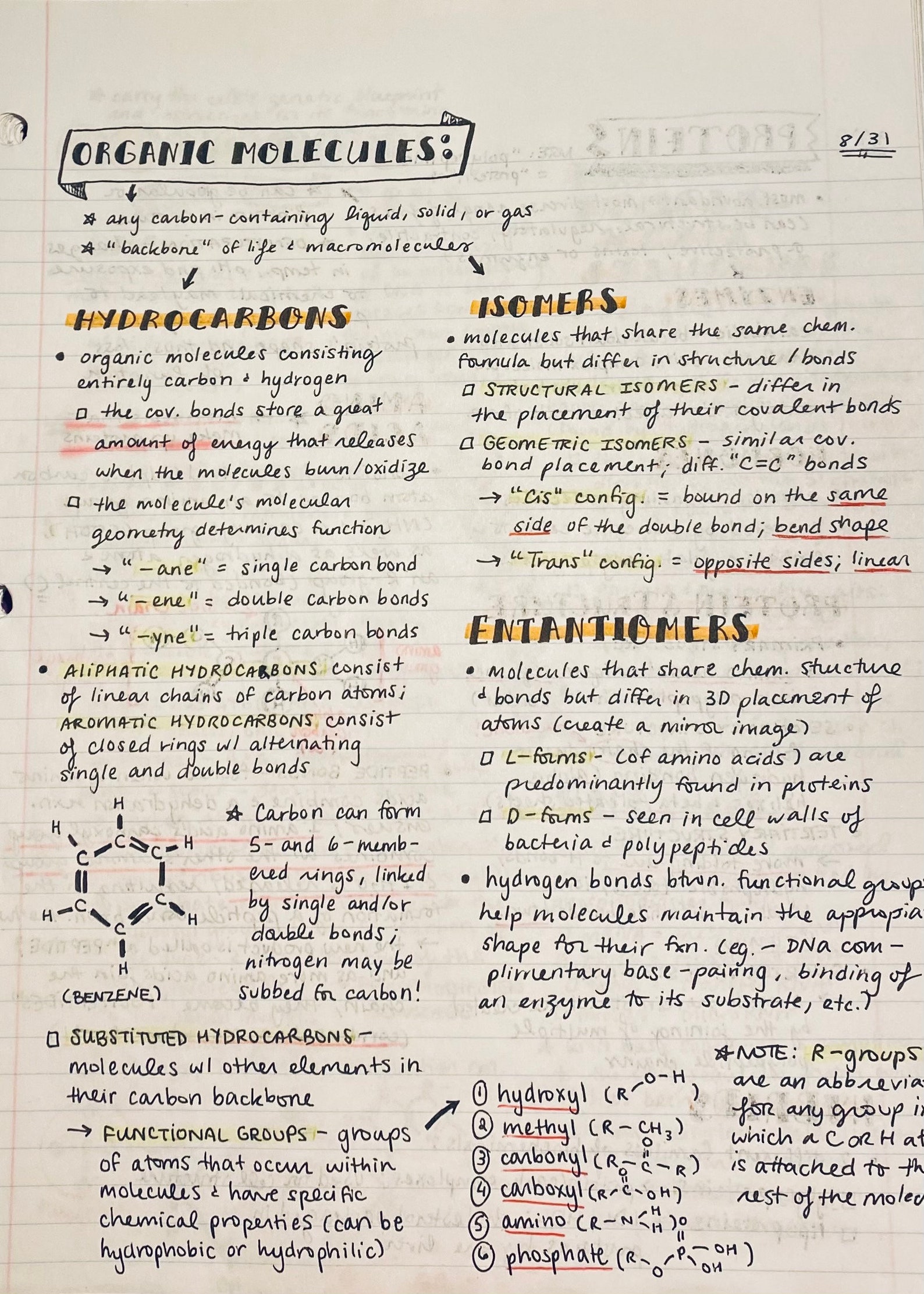 AP Biology Notes 70 Pages | Etsy UK