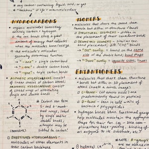 AP Biology Notes (70 Pages) - Etsy