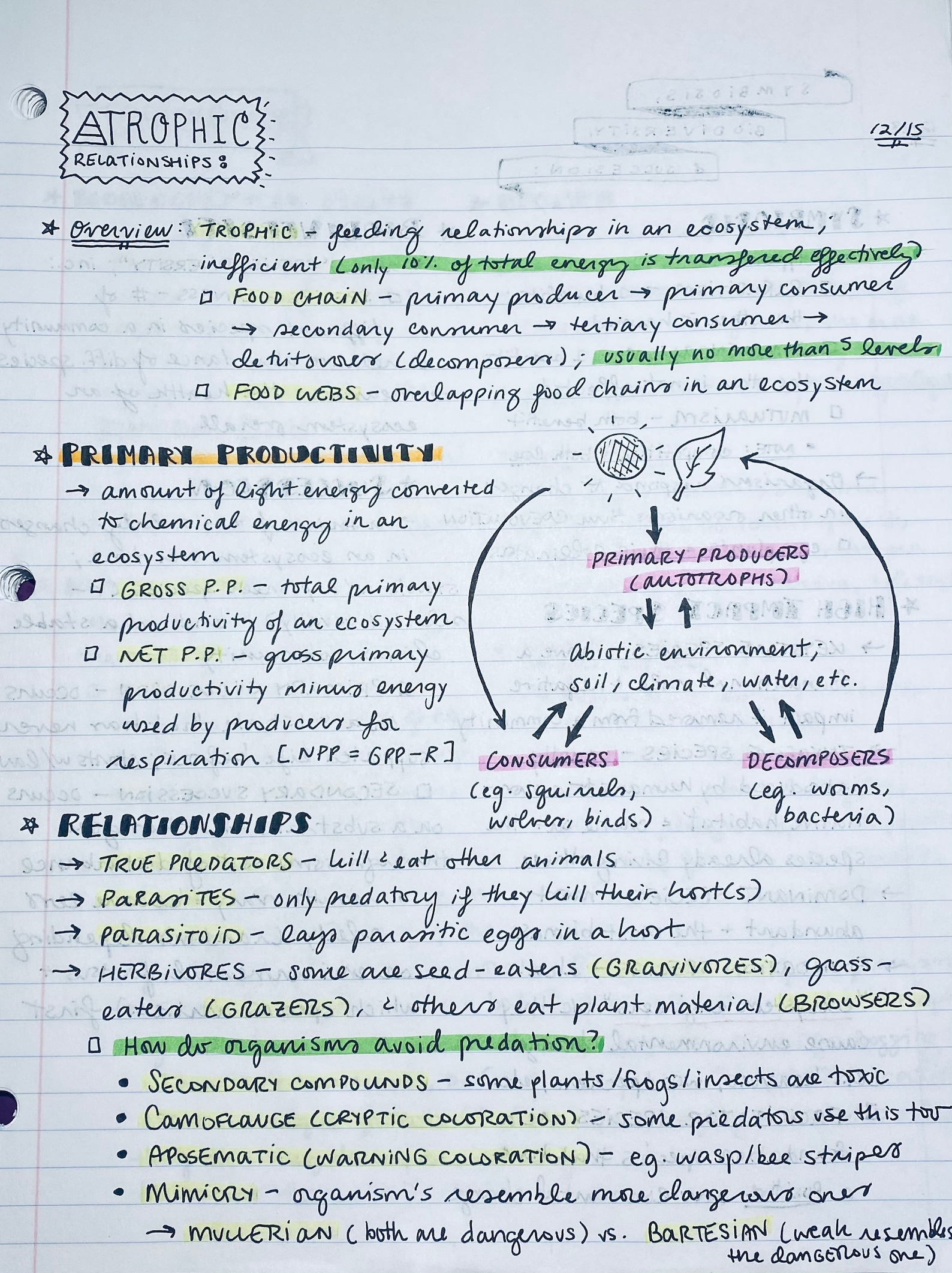 AP Biology Notes (70 Pages) - Etsy