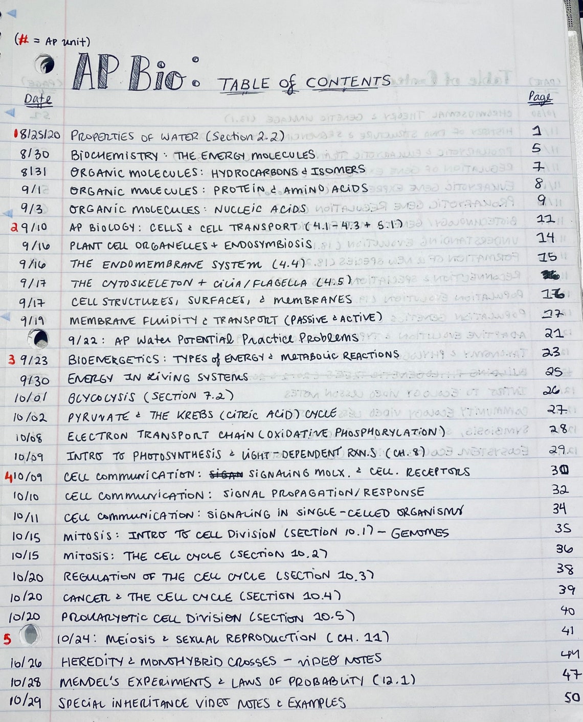 AP Biology Notes (70 Pages) - Etsy