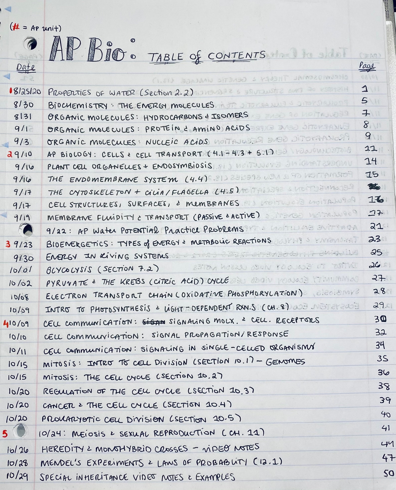 AP Biology Notes (70 Pages) - Etsy