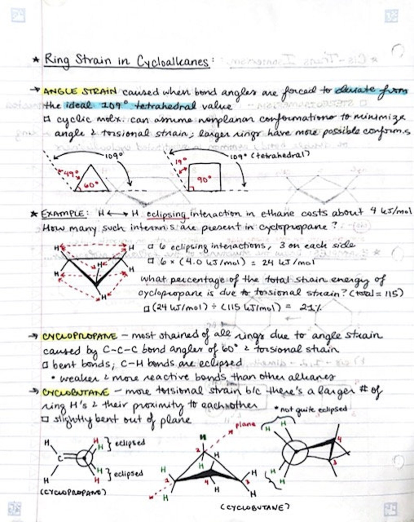 Organic Chemistry 1 Notes (100+ Pages With Practice Problems) - Etsy