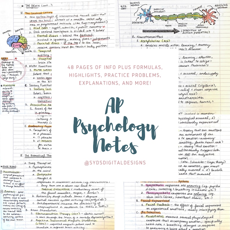 AP Psychology Notes - Etsy