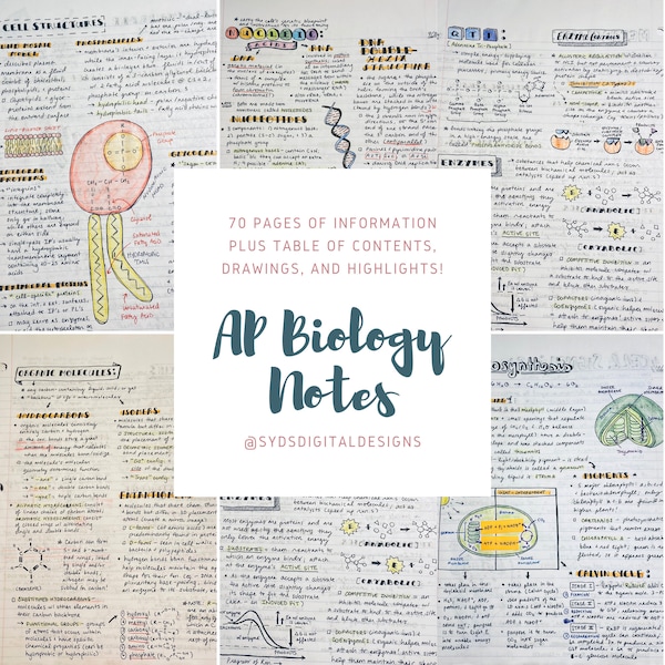 Ap Biology One Pager - Etsy