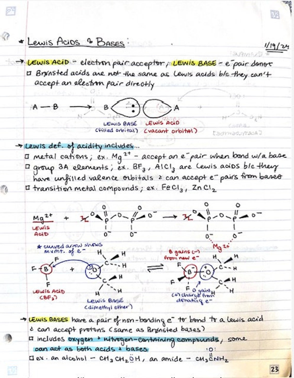 Organic Chemistry 1 Notes (100+ Pages With Practice Problems) - Etsy