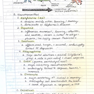 AP Psychology Notes - Etsy Canada