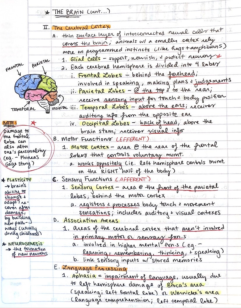 AP Psychology Notes - Etsy Canada